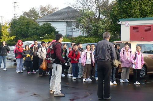 Primary Schools in Manurewa, Wiri• Localist