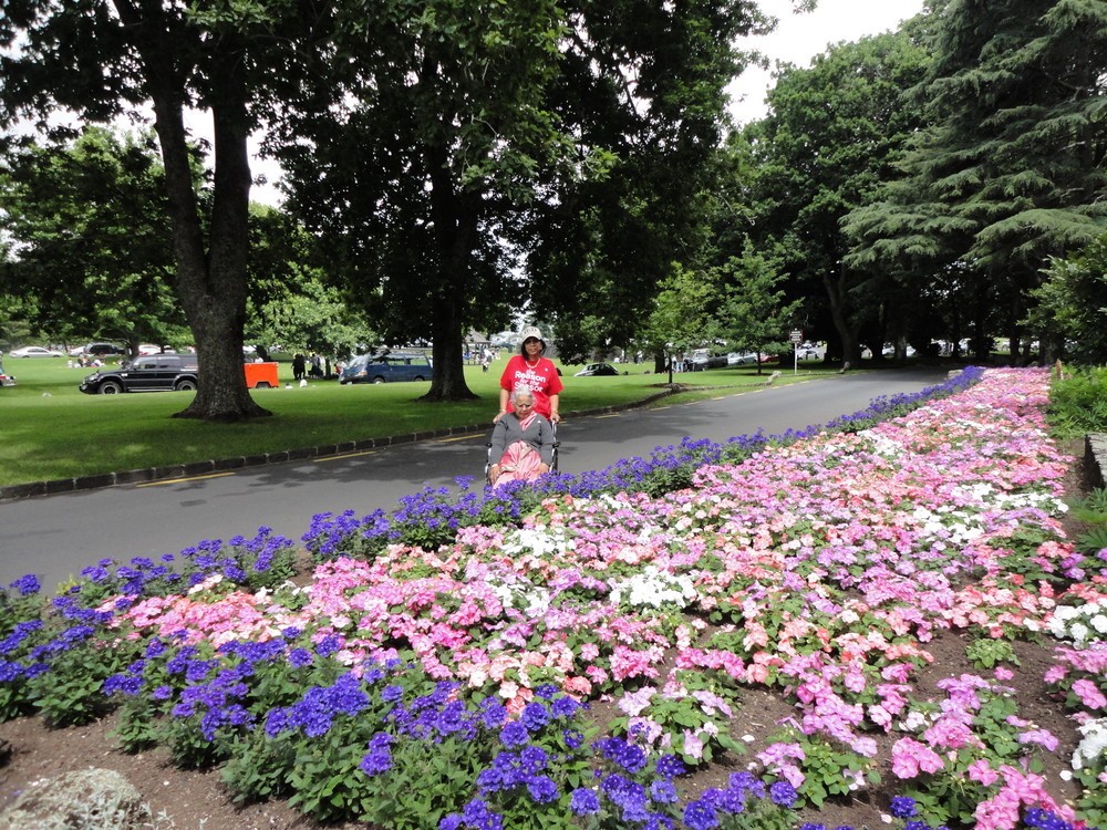 Guide to Auckland parks, Community